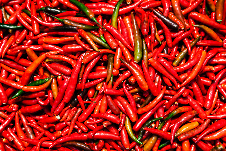 Chillibasket – York Hovest Fine Art